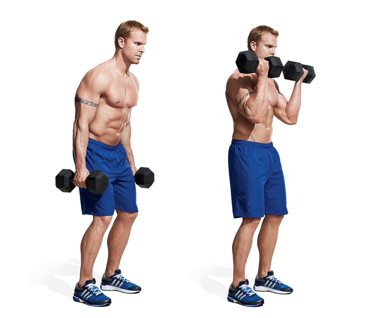 Hammer Curl Bodybuilding At Charles Lindquist Blog Hammer Curl Bodybuilding At Charles Lindquist Blog