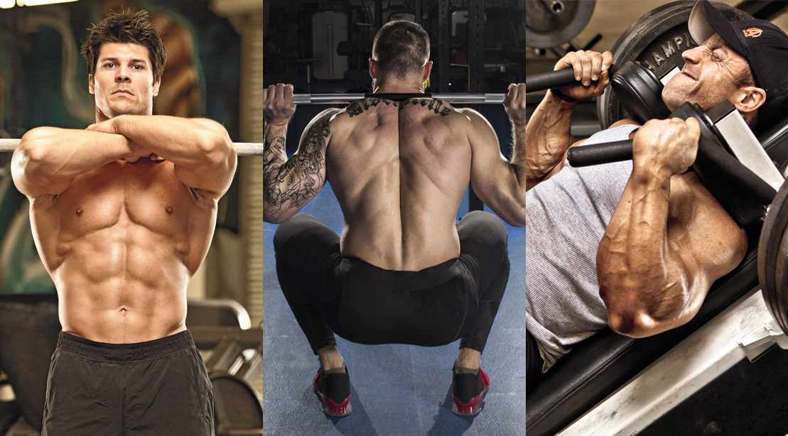 Front Squat V S Back Squat V S Hack Squat Muscle Fitness Front Squat V S Back Squat V S Hack Squat Muscle Fitness