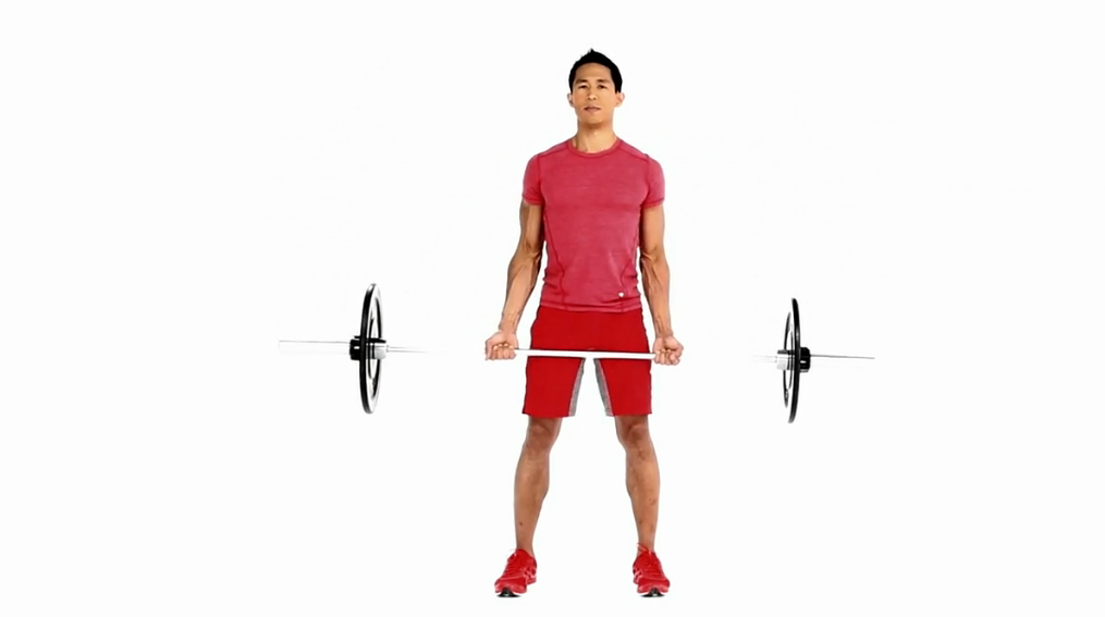 How To Use Barbell Properly at Georgia Farber blog