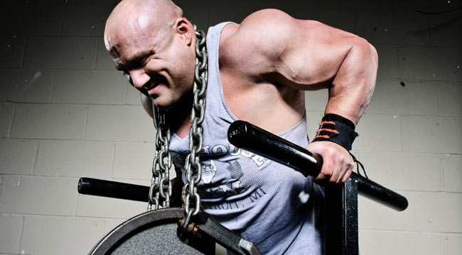 Training Tips: Expert Advice: Shelby Starnes| Muscle & Fitness