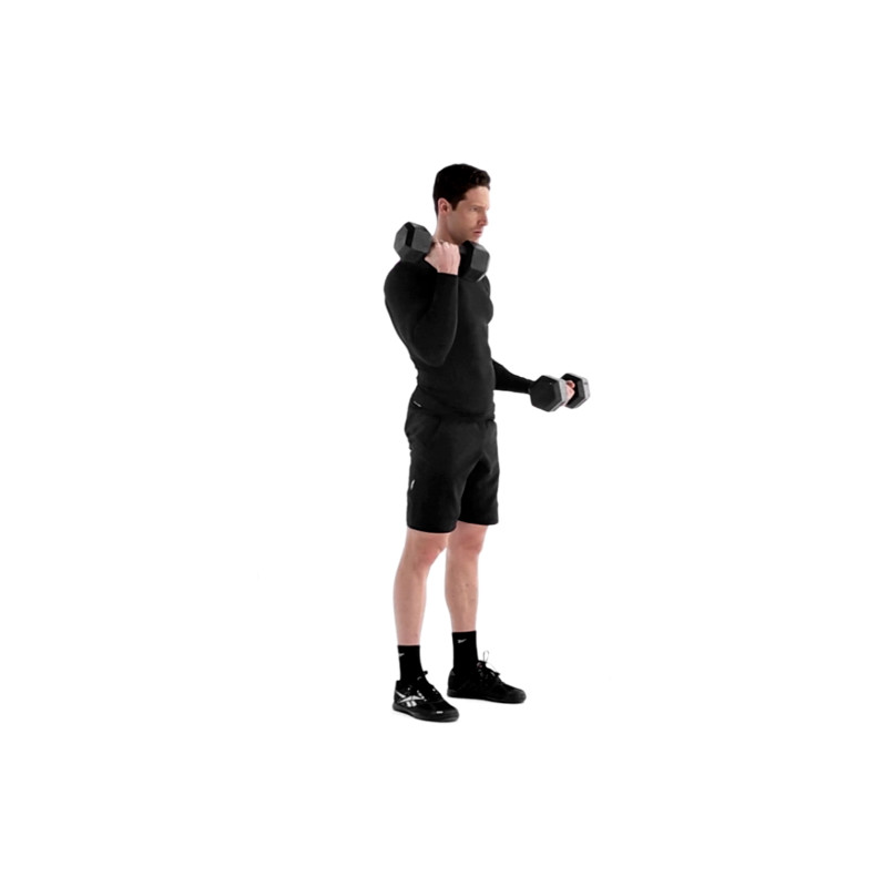 Dumbbell Biceps Curl With Static Hold Video Watch Proper Form Get