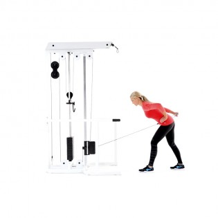 Cable Kickback Video - Watch Proper Form, Get Tips & More | Muscle ...