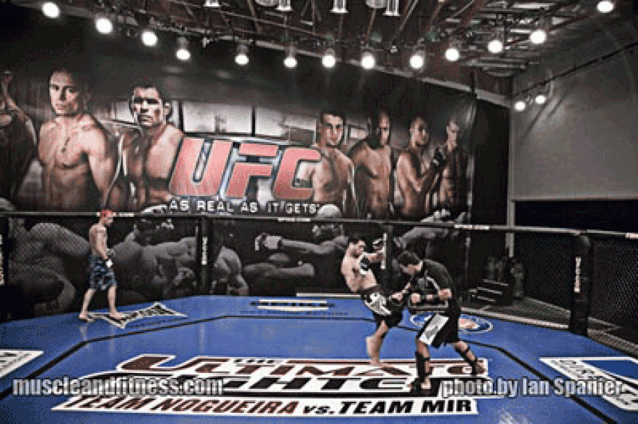 The Ultimate Fighter 8 Part II | Muscle & Fitness
