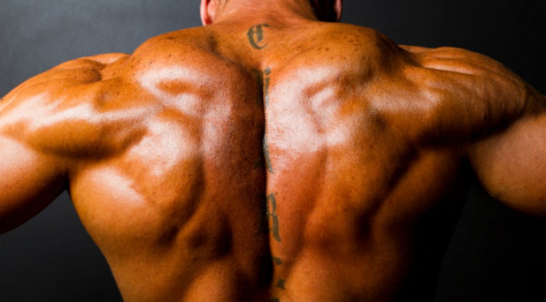 6 Best Exercises to Fix a Winged Scapula | Muscle & Fitness
