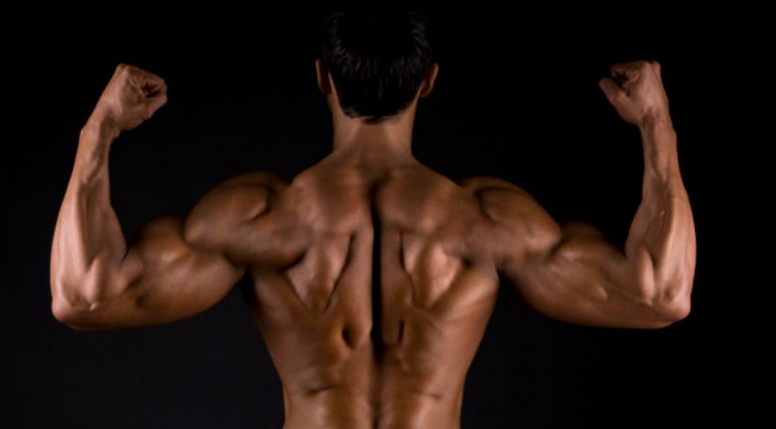 Build Back Muscle With Eccentric Exercise | Muscle & Fitness