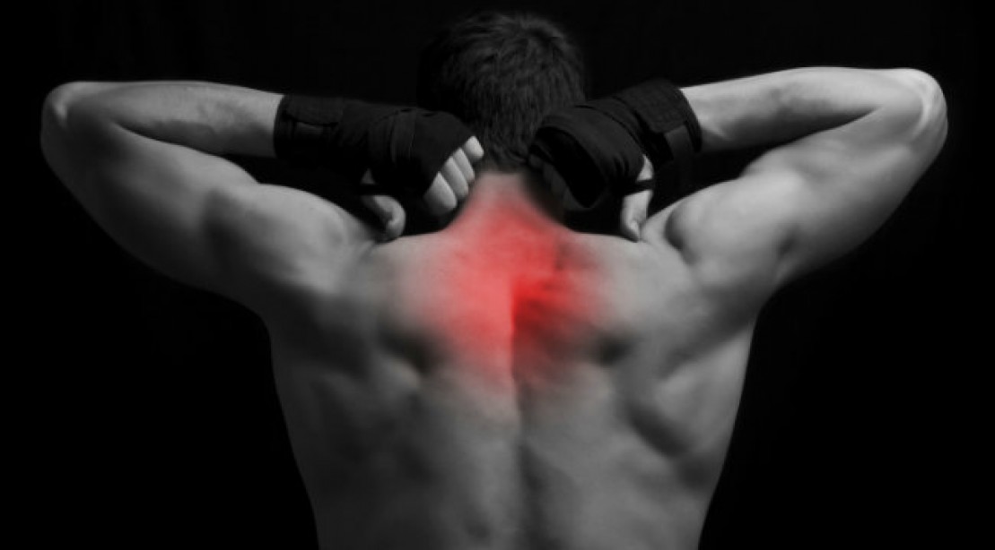 Muscle Building Advice: Basics Training: Self Myofascial Release ...