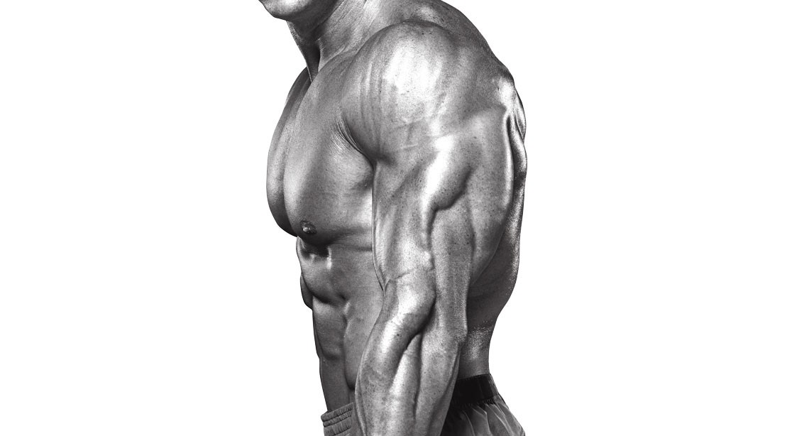 The Ultimate Triceps Workout for Advanced Lifters | Muscle & Fitness