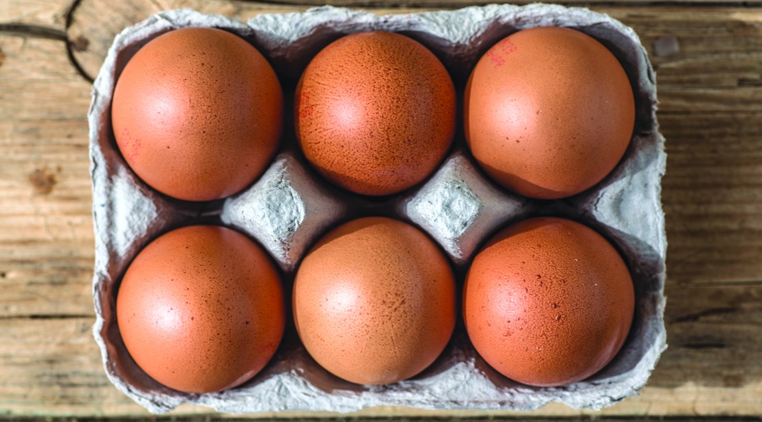 7 Demonized Bodybuilding Foods That Are Actually Good For You | Muscle ...