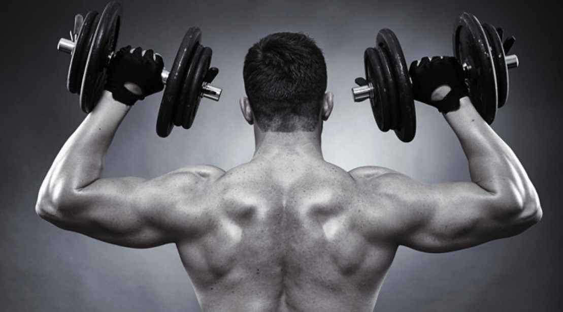 8 Ways to Build Shoulder Strength and Stability | Muscle & Fitness