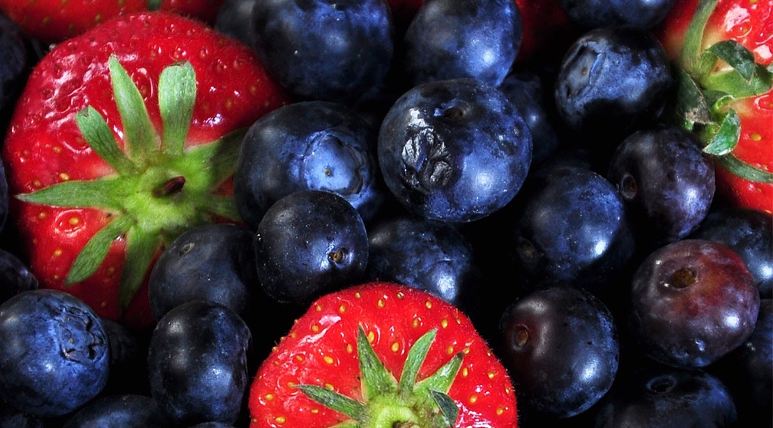 Best Foods for Better Brain Health | Muscle & Fitness