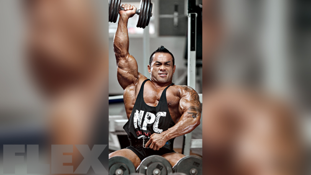 Seated Shoulder Press Machine Benefits | Cabinets Matttroy