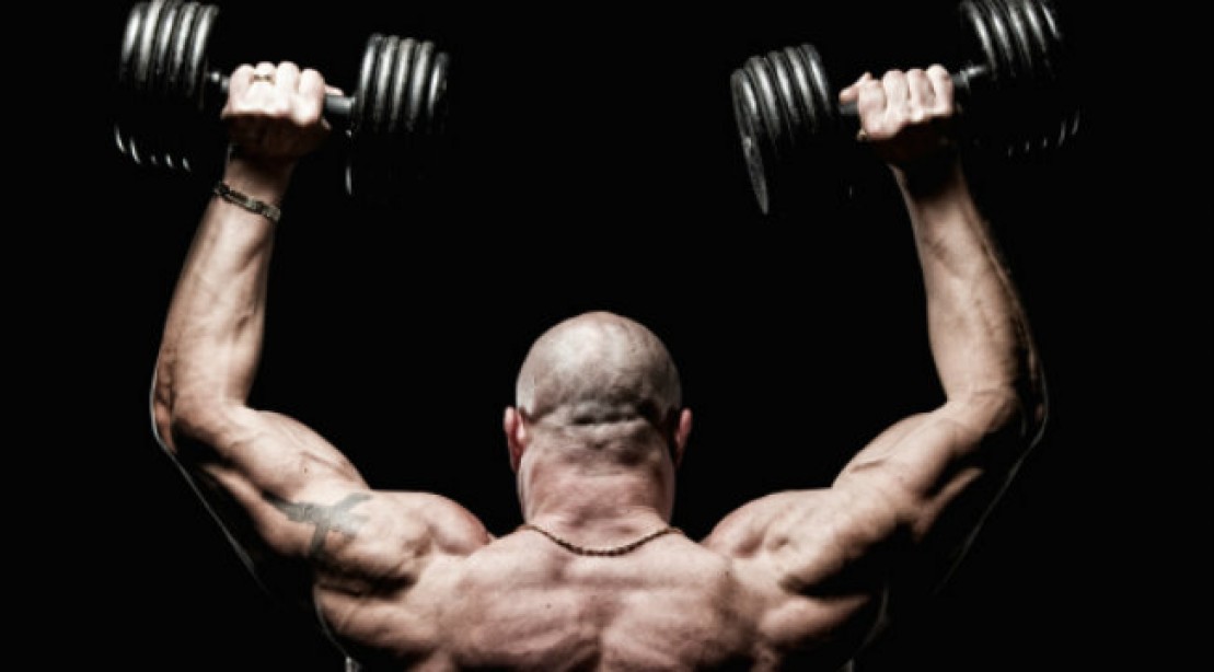 The Top 10 Exercises for Building Muscle and Strength | Muscle & Fitness