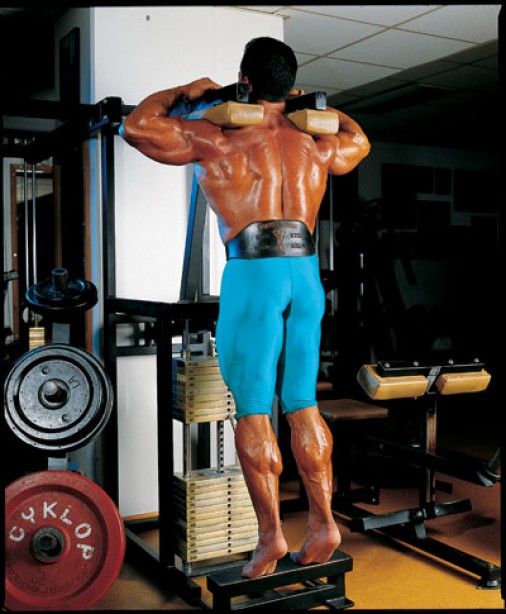 Mr. Olympia Winners Share Their Workouts | Muscle & Fitness