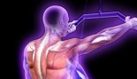 Back Routine: The Barbell Row for Lats and Traps