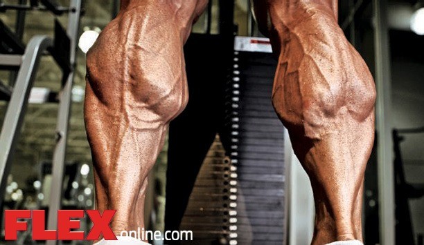 In the Crosshairs: Outer Calves | Muscle & Fitness